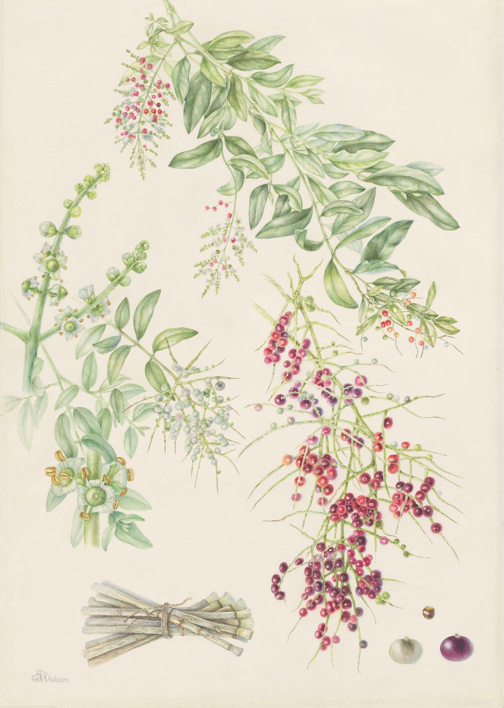 Toothbrush Tree – Sue Wickison